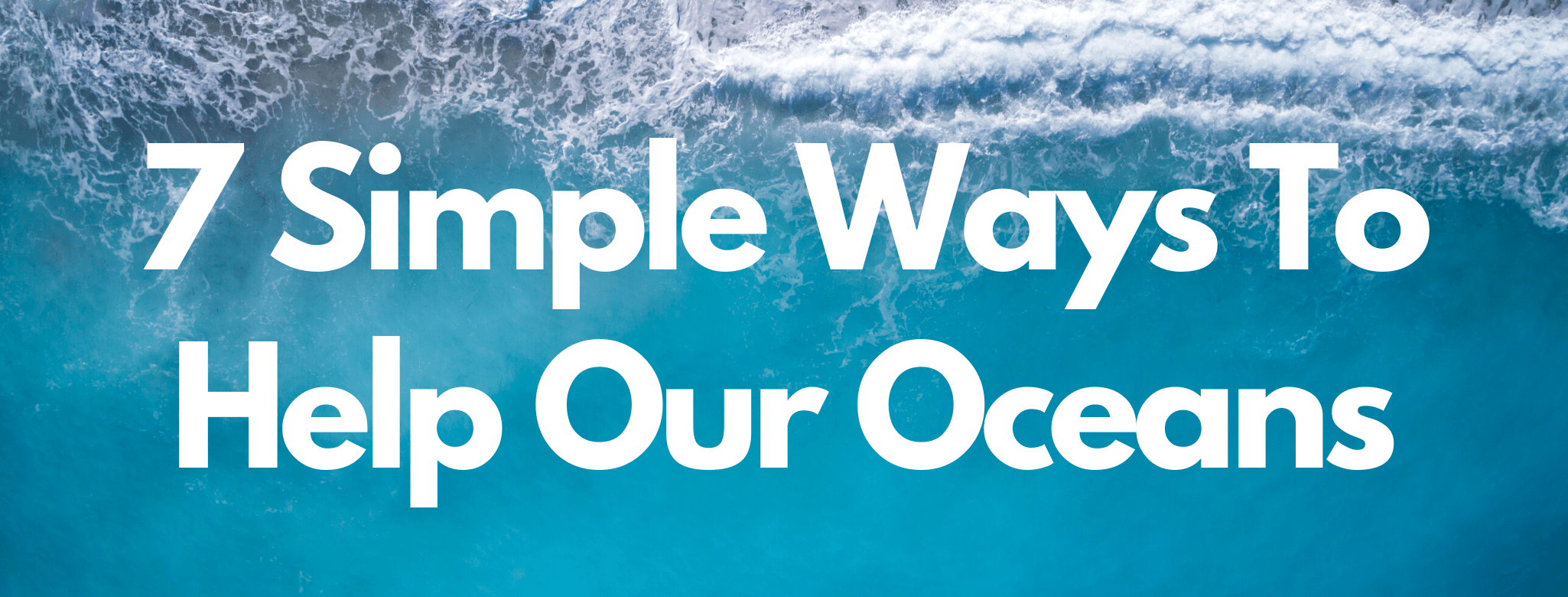 7 Simple Ways to Help Our Oceans – Rice Love
